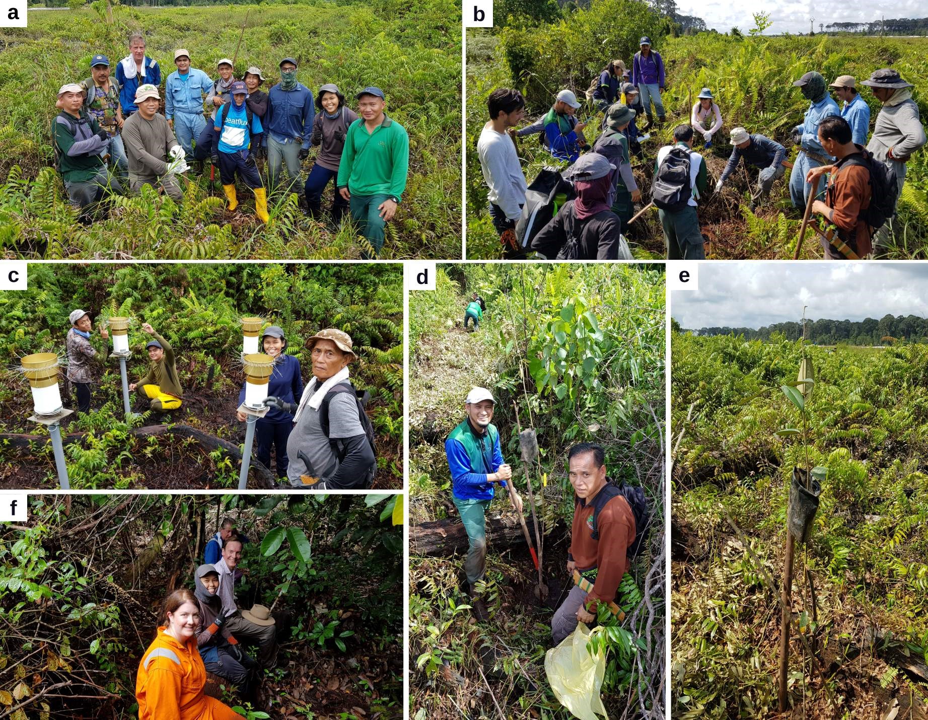 Joint SMART-UBD Peat Swamp Projects - Institute for Biodiversity and ...