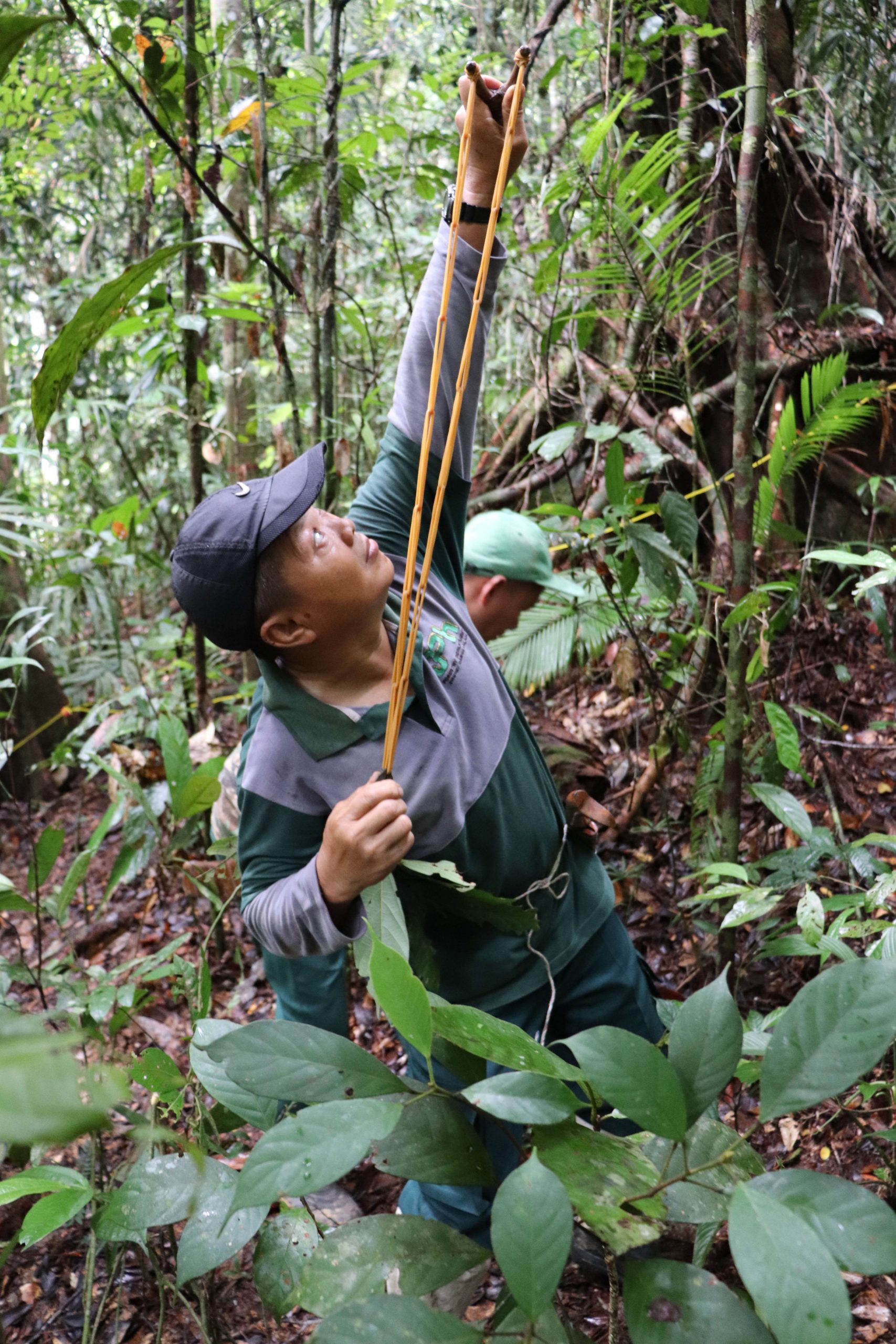 Muhammad Ariffin Bin Abdullah Kalat - Institute for Biodiversity and ...