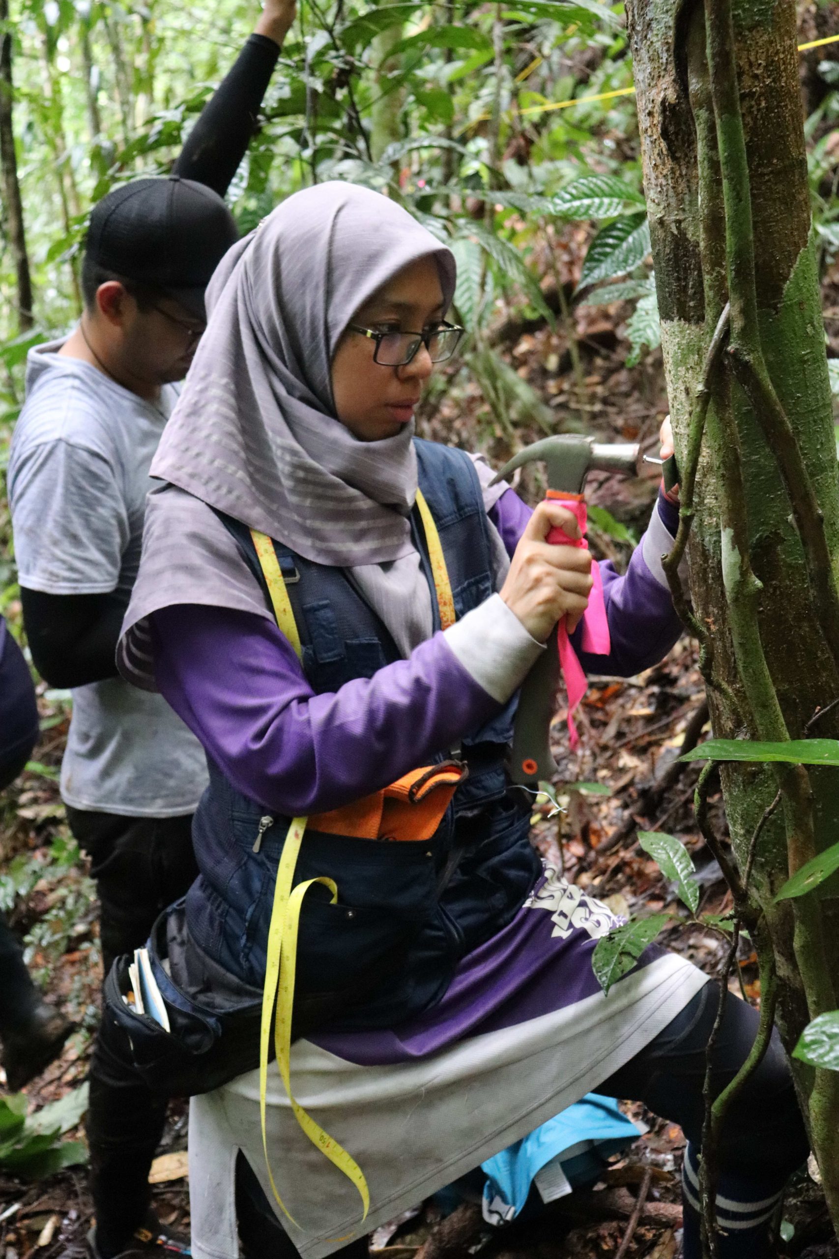 Hazimah Hj Md Din - Institute for Biodiversity and Environmental Research
