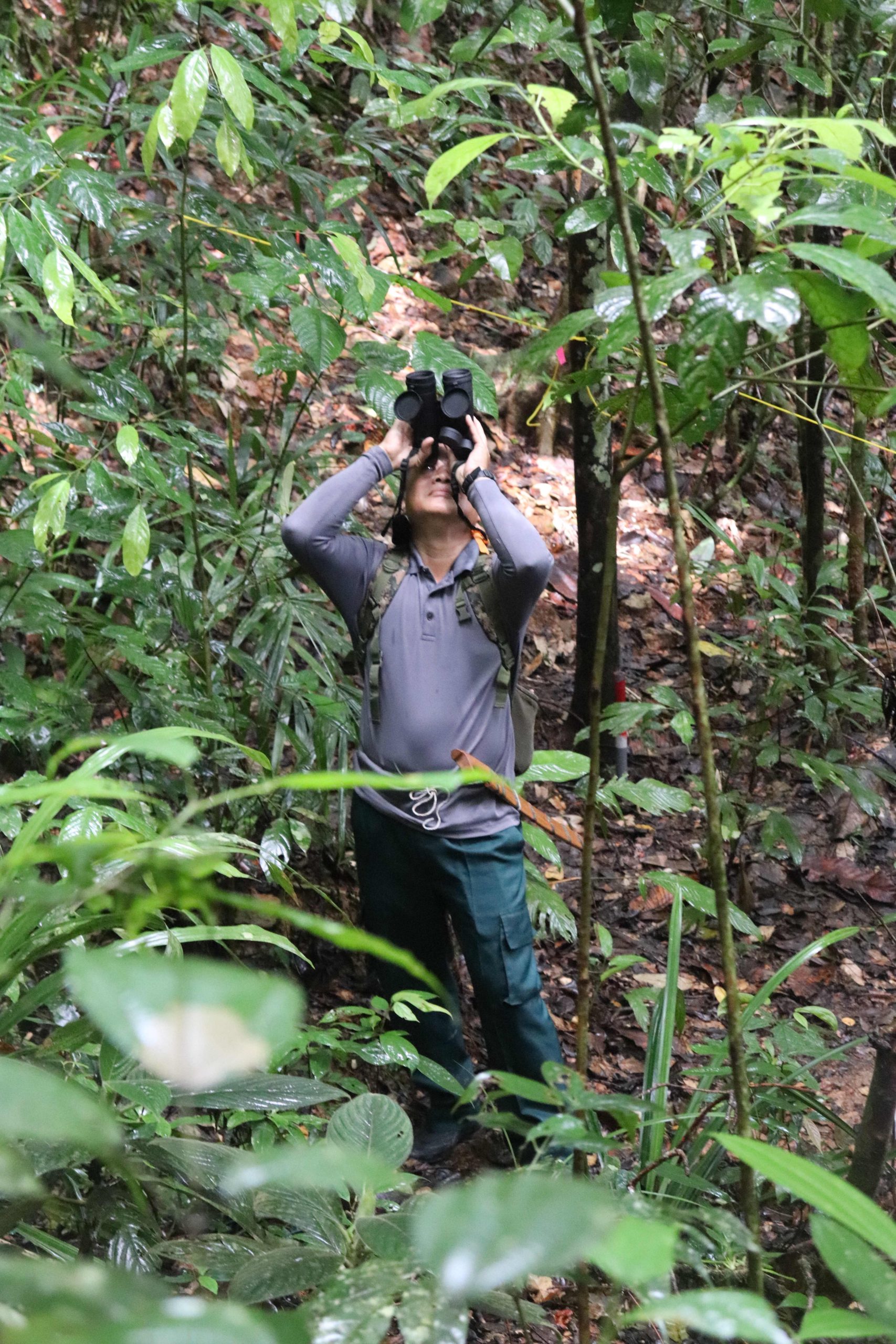 Muhammad Ariffin Bin Abdullah Kalat - Institute for Biodiversity and ...